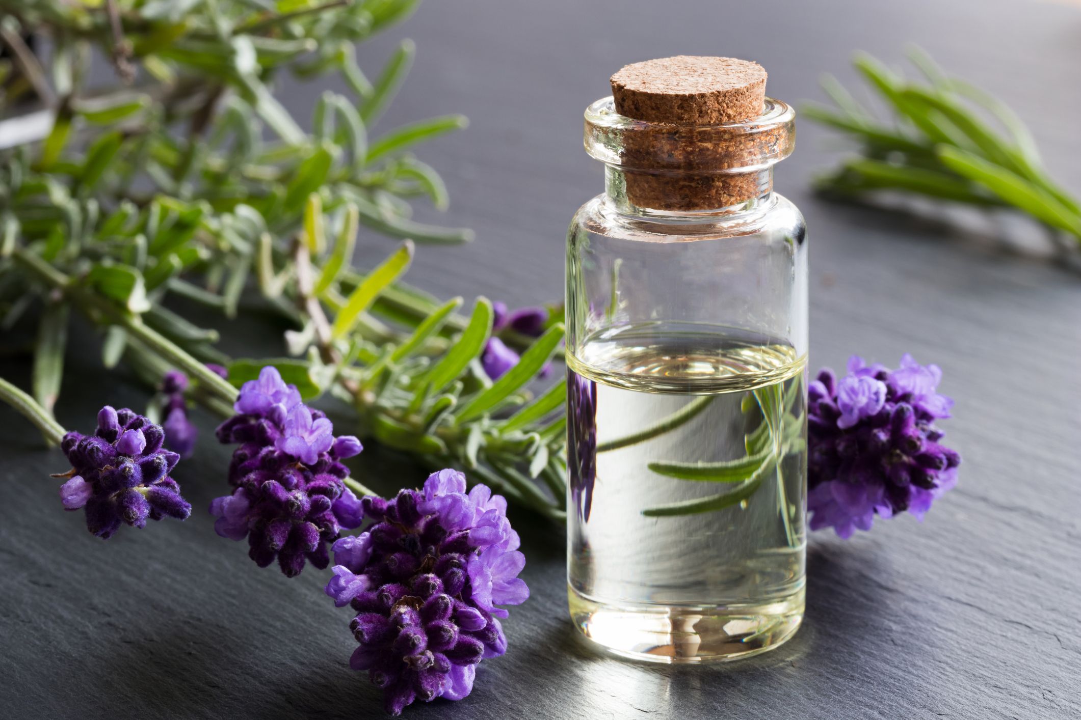 Aceite Esencial de Lavanda – Gluu Handmade